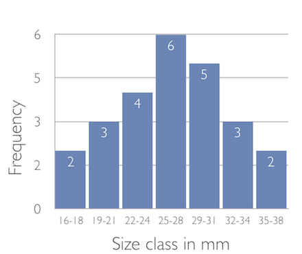 Statistics: A Brief Guide | Summarising Data