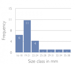 Statistics: A Brief Guide | Summarising Data
